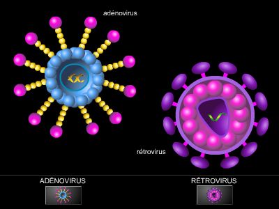 thérapie génique ou génothérapie - LAROUSSE