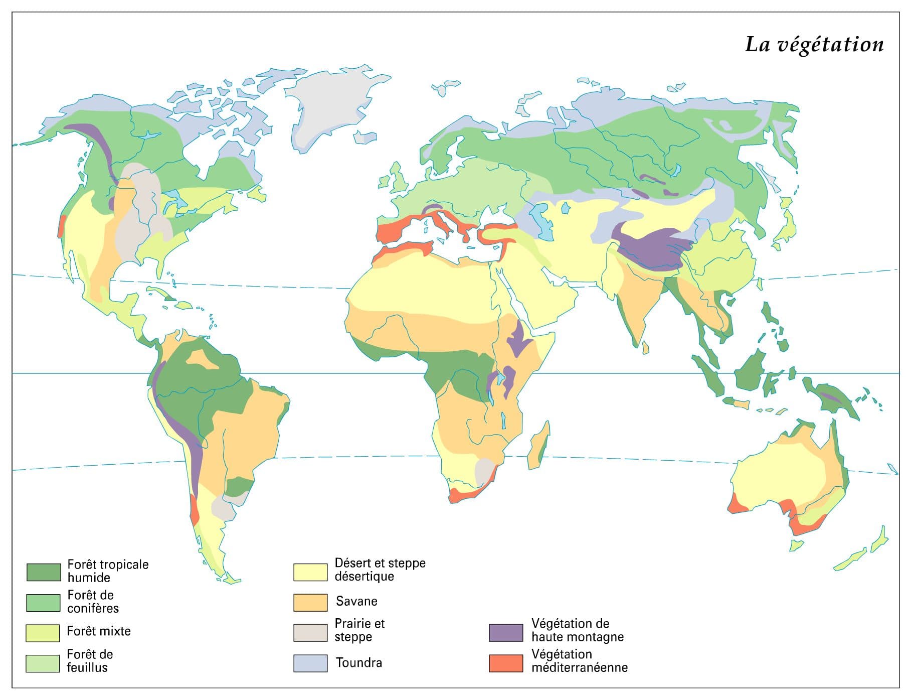 La végétation – Média LAROUSSE