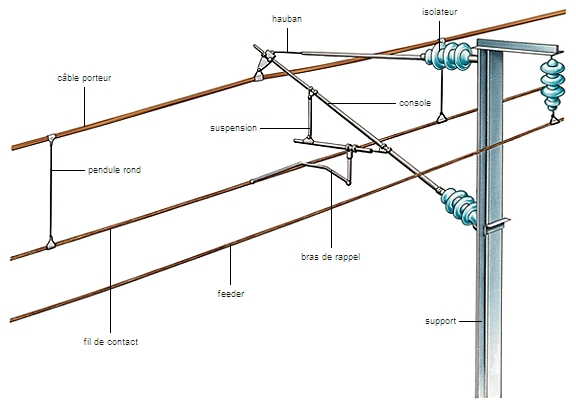 caténaire latin scientifique catenaria de catena chaîne - LAROUSSE