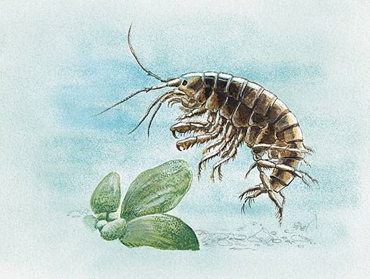 Visite des souterrains de Mennecy - Bienvenue à l'école de La Verville