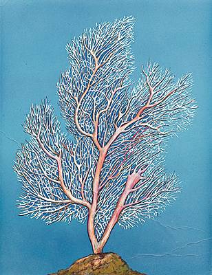 Gorgone – Média LAROUSSE