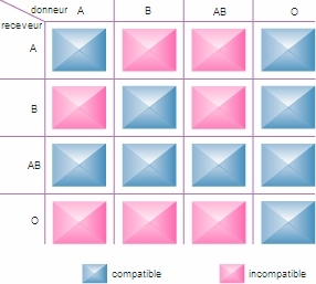 groupe sanguin - LAROUSSE