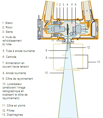radiographie - LAROUSSE