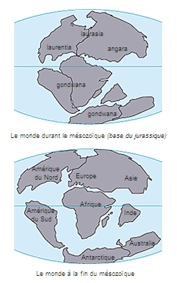 jurassique - LAROUSSE