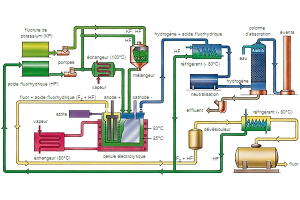 fluor latin fluor -oris écoulement - LAROUSSE