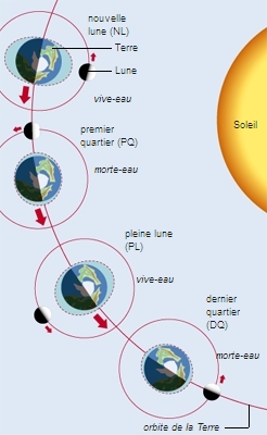 marée de mer - LAROUSSE