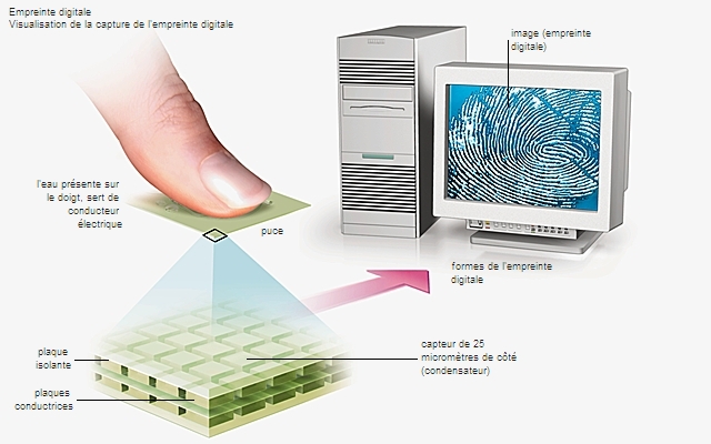 biométrie - LAROUSSE