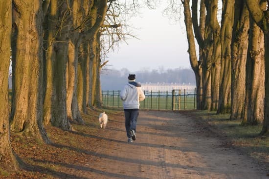 Jogging – Média LAROUSSE