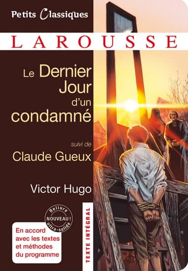 Victor Hugo, Le dernier jour d'un condamné – Média LAROUSSE