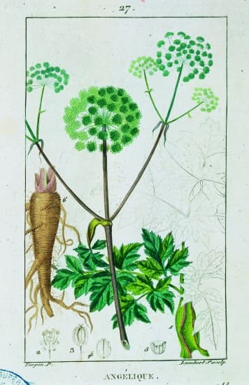 biodiversité - LAROUSSE